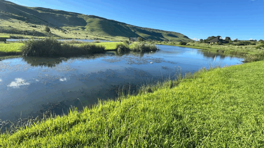 Discover Doornkop: A Shareholder’s Slice of Heaven - Doornkop Fish ...